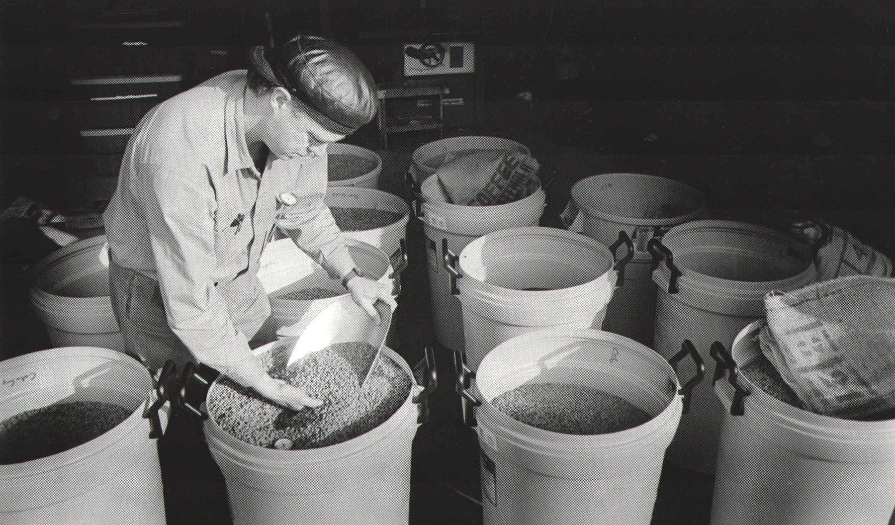 Alaskan Heritage – Raven's Brew Coffee, Inc.